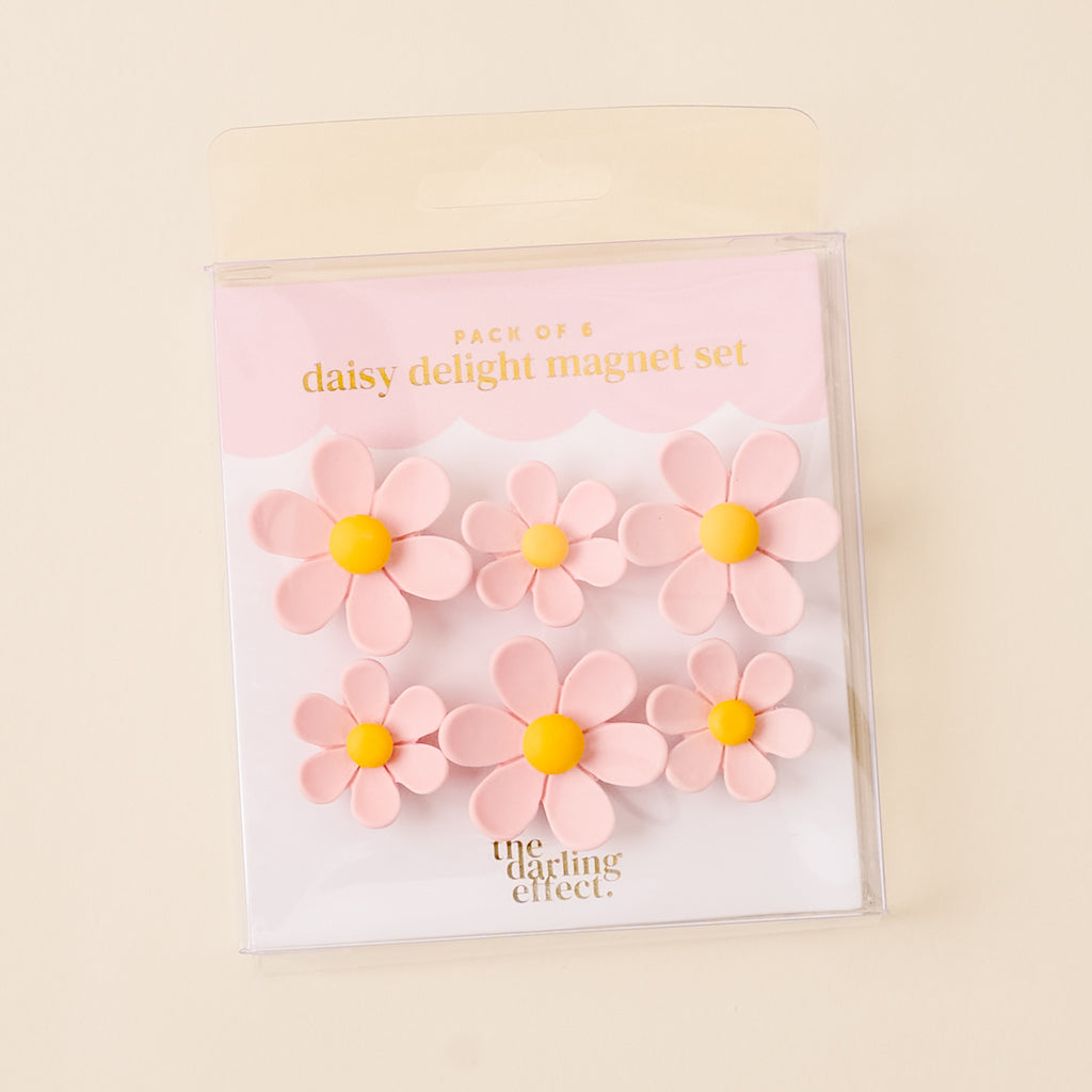 Pink Daisy Delight Magnet Set – The Darling Effect